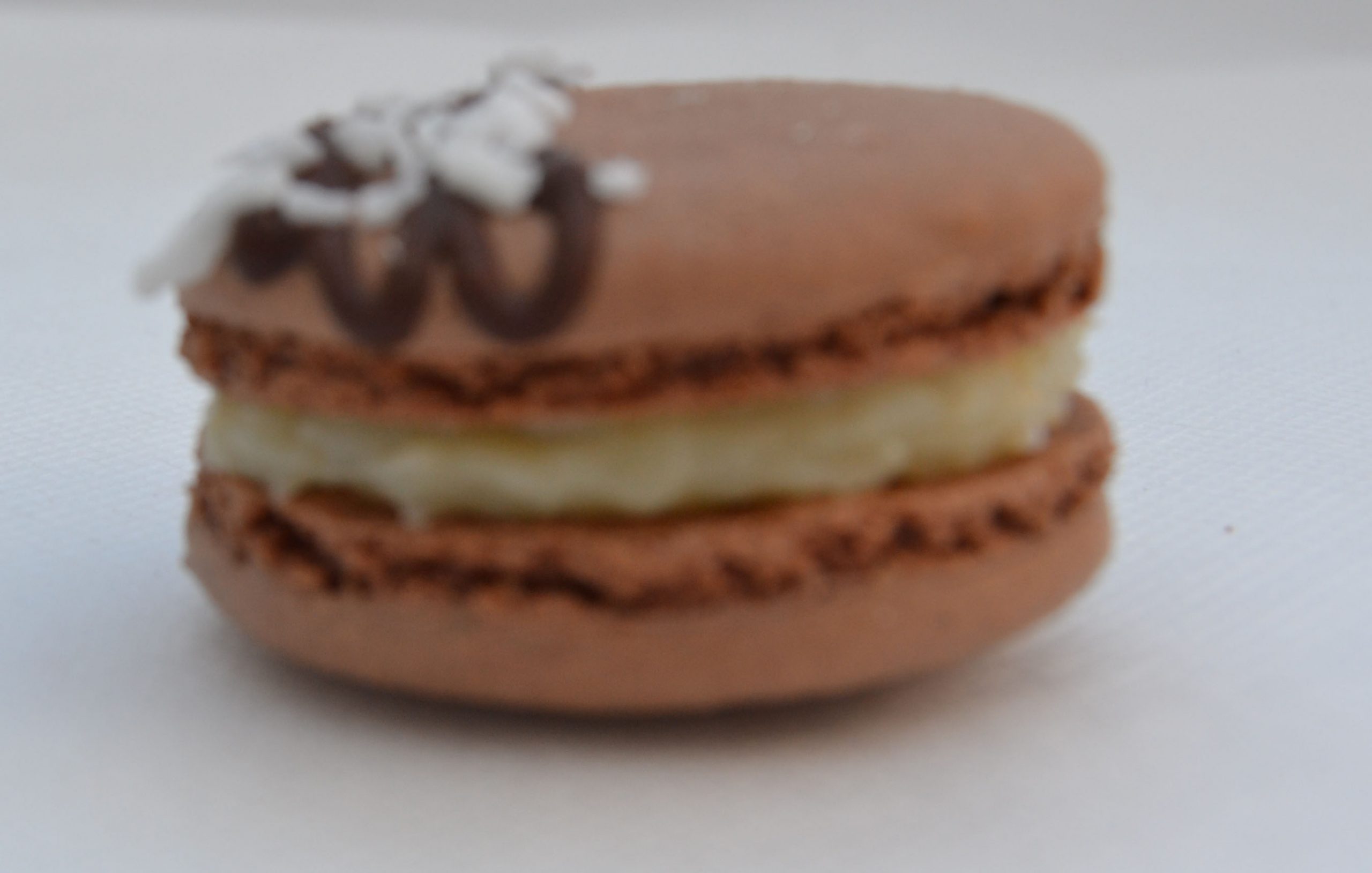 coconut_one – Bite the Macaron – Handmade French Macarons