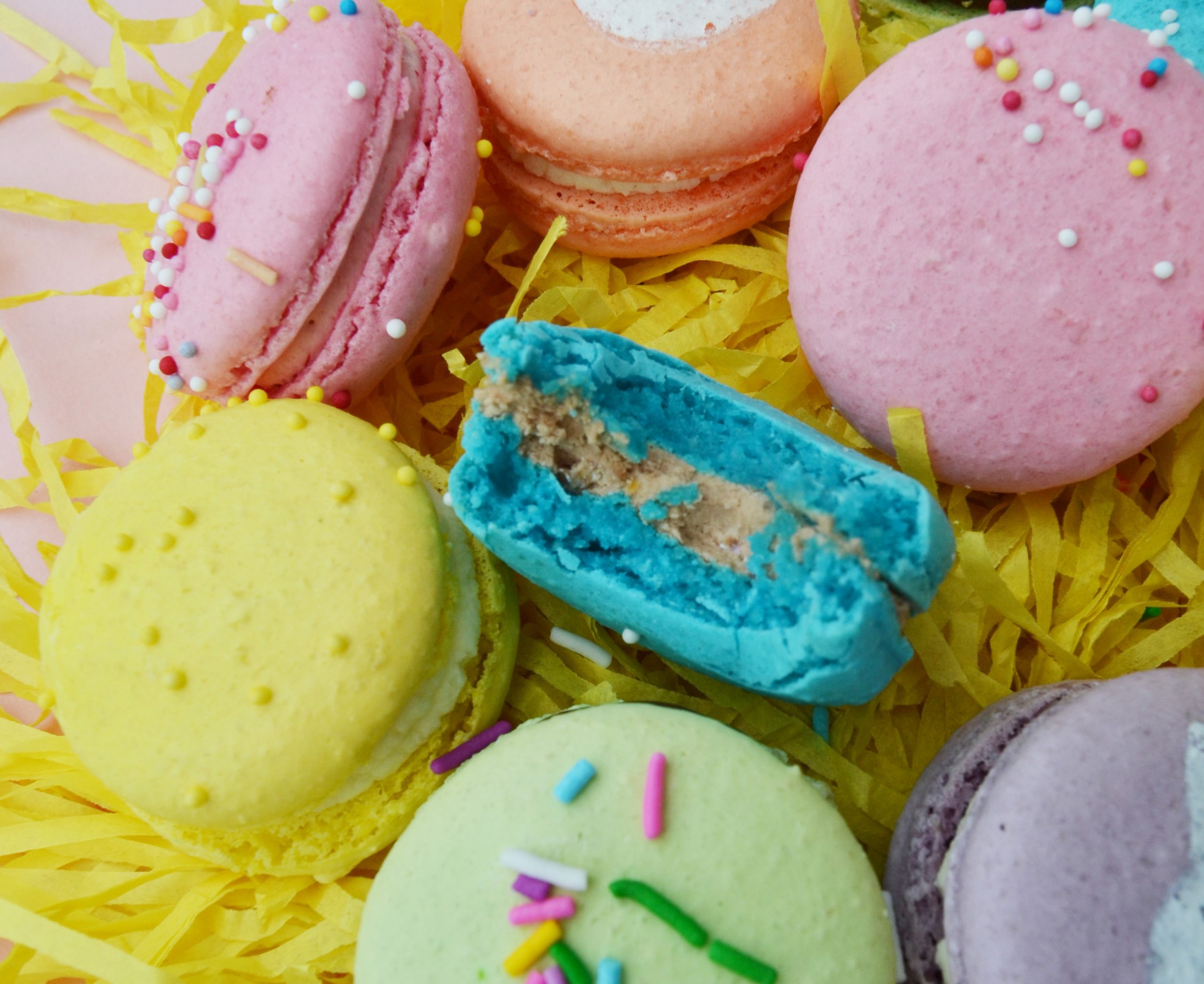 ?EASTER MACARONS? – Bite the Macaron – Handmade French Macarons